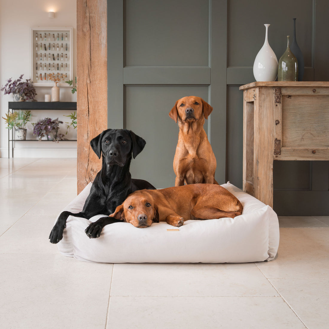 Box Bed For Dogs In Velvet Oyster | Square Beds | Lords & Labradors US ...