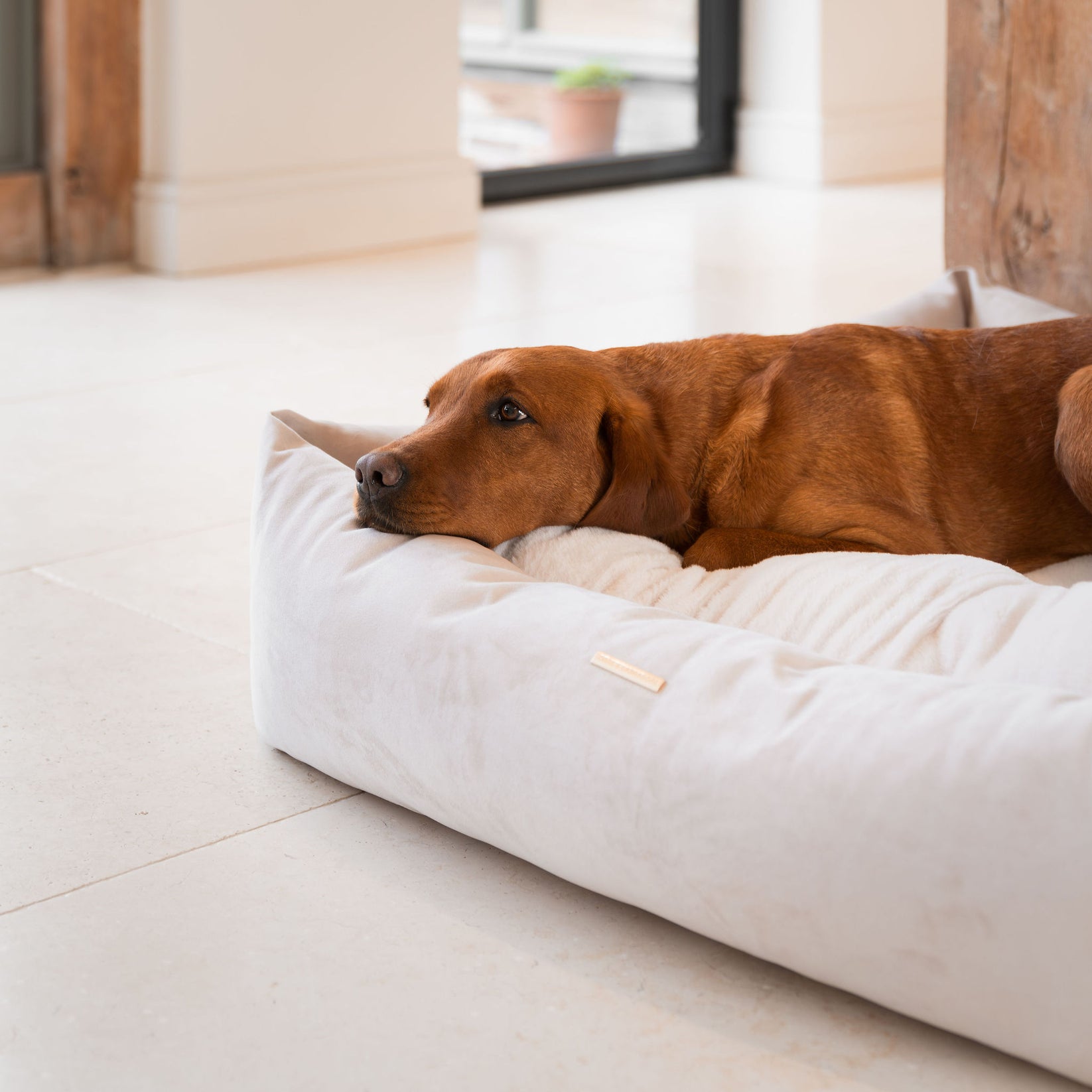 Box Bed For Dogs In Velvet Oyster | Square Beds | Lords & Labradors US ...