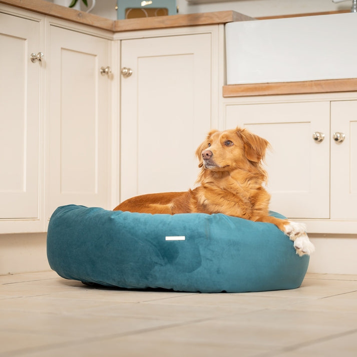 Donut Dog Bed In Velvet Marine | Luxury Round Bed | Lords & Labradors ...
