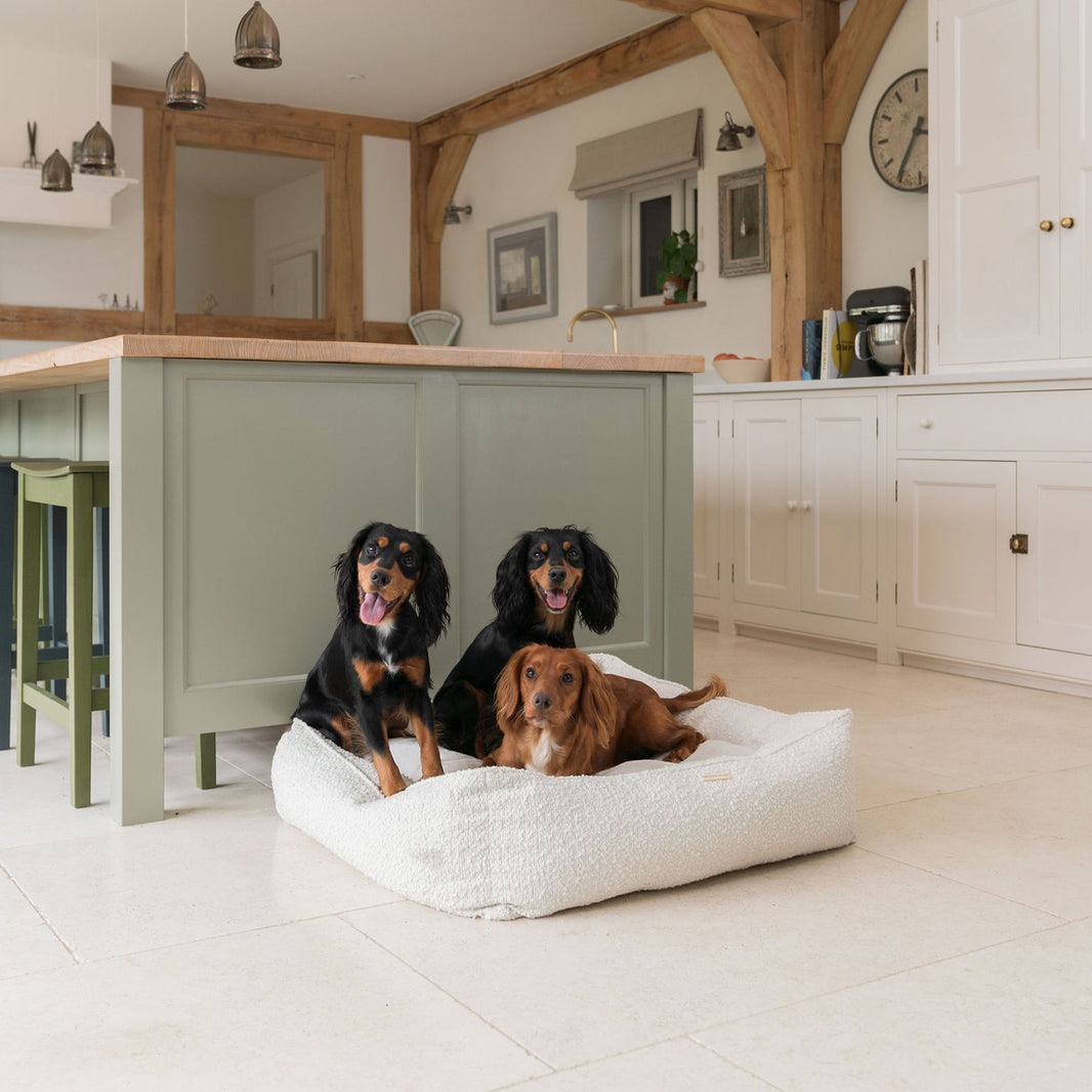 Luxury Dog Beds | Beds For Dogs & Puppies | Lords & Labradors US ...