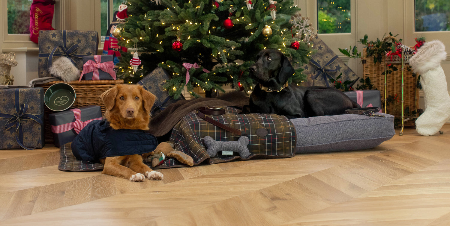 Luxury Products for Dogs & Cats | Lords & Labradors – Lords & Labradors USA