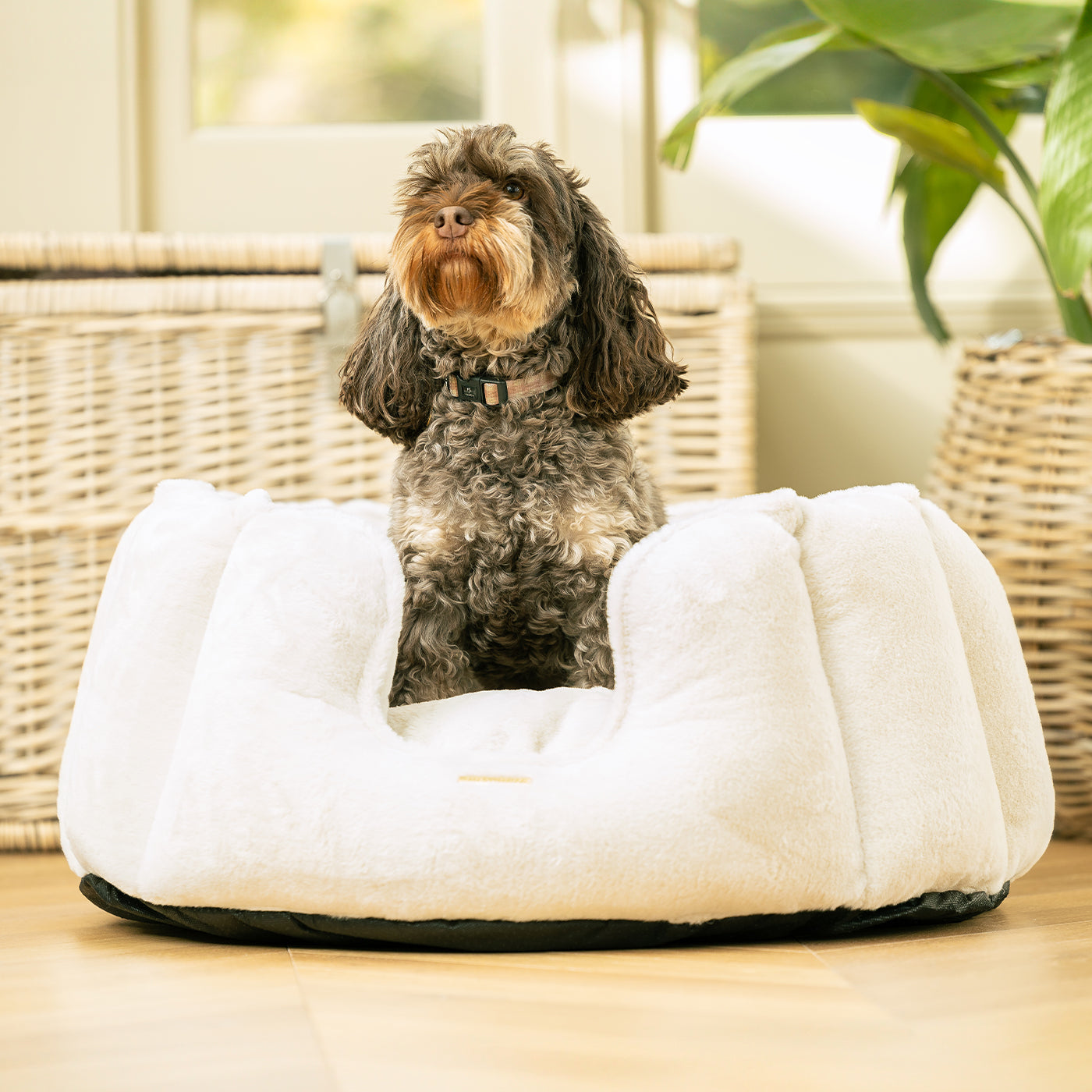 High Wall Cream Faux Fur Bed | Luxury Dog Beds | Lords & Labradors US ...