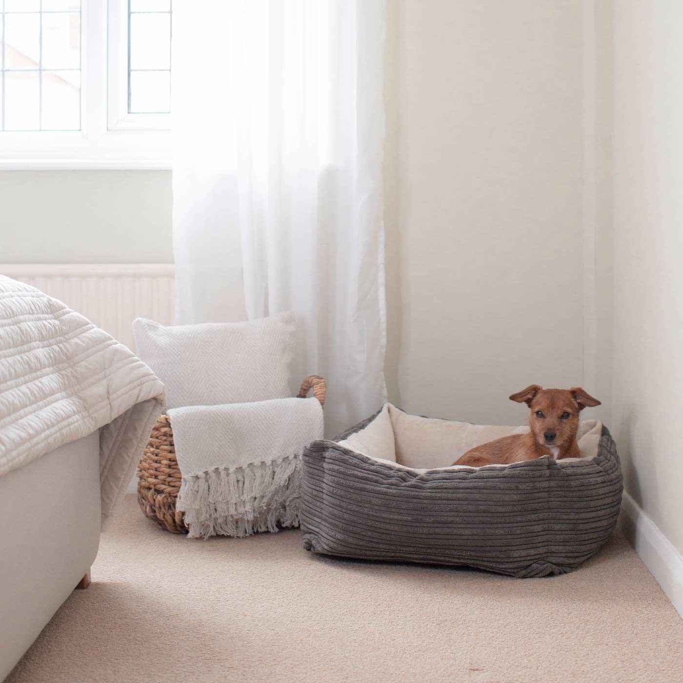 Essentials Plush Collection | Luxury Dog beds | Lords & Labradors US ...