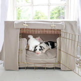 Savanna Oatmeal Cage Set | Dog Cage Set | Lords & Labradors US – Lords ...