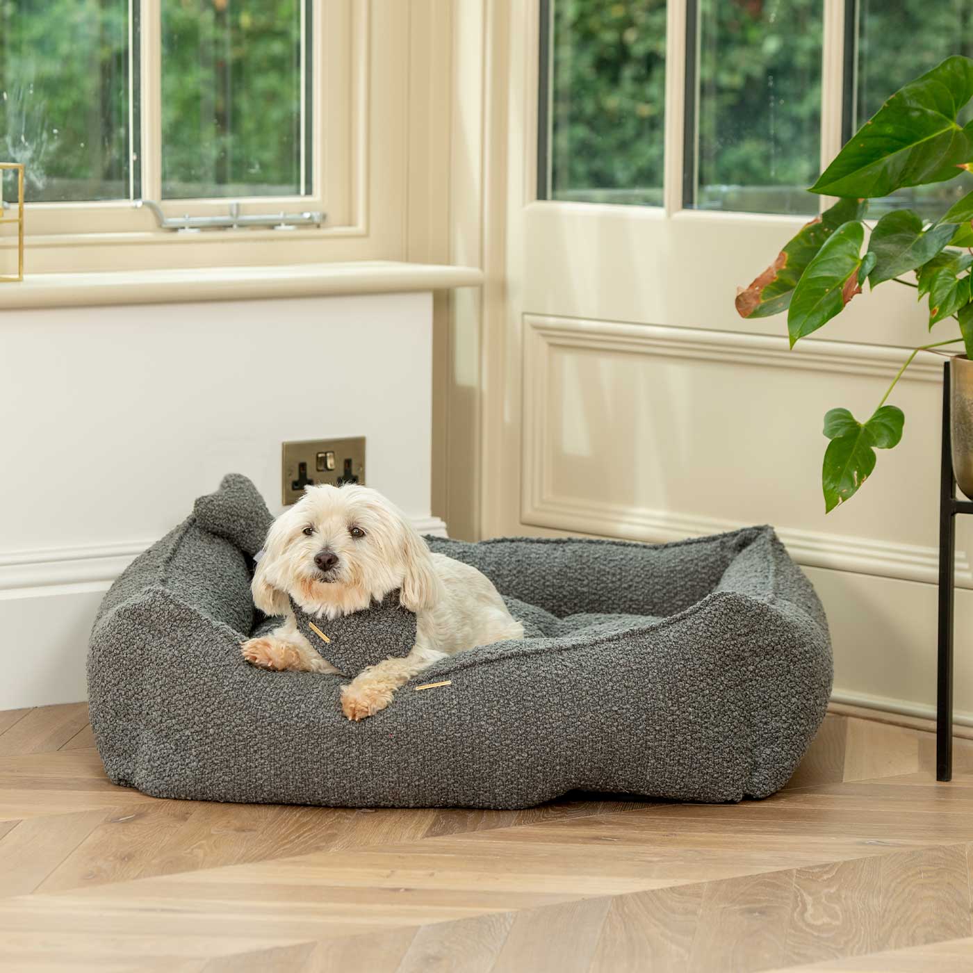 Bouclé Box Bed For Dogs | Luxury Dog beds | Lords & Labradors US ...