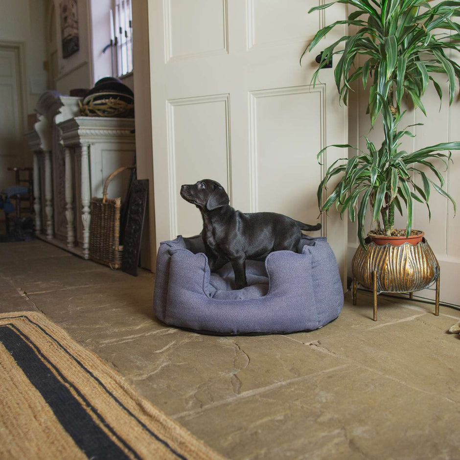 Luxury Dog Beds | Beds For Dogs & Puppies | Lords & Labradors US ...